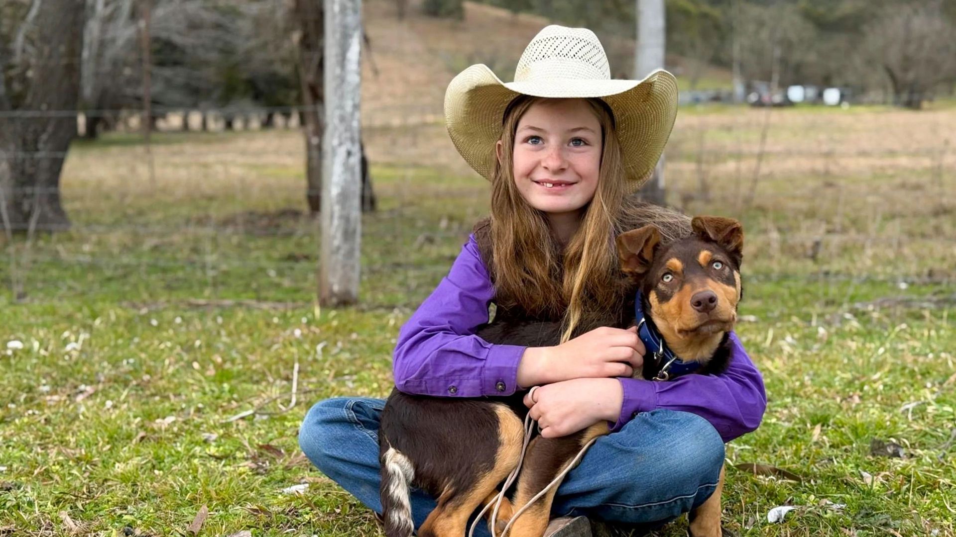 Muster Dogs: Where Are They Now - Season 2 Episode 2: Episode 2