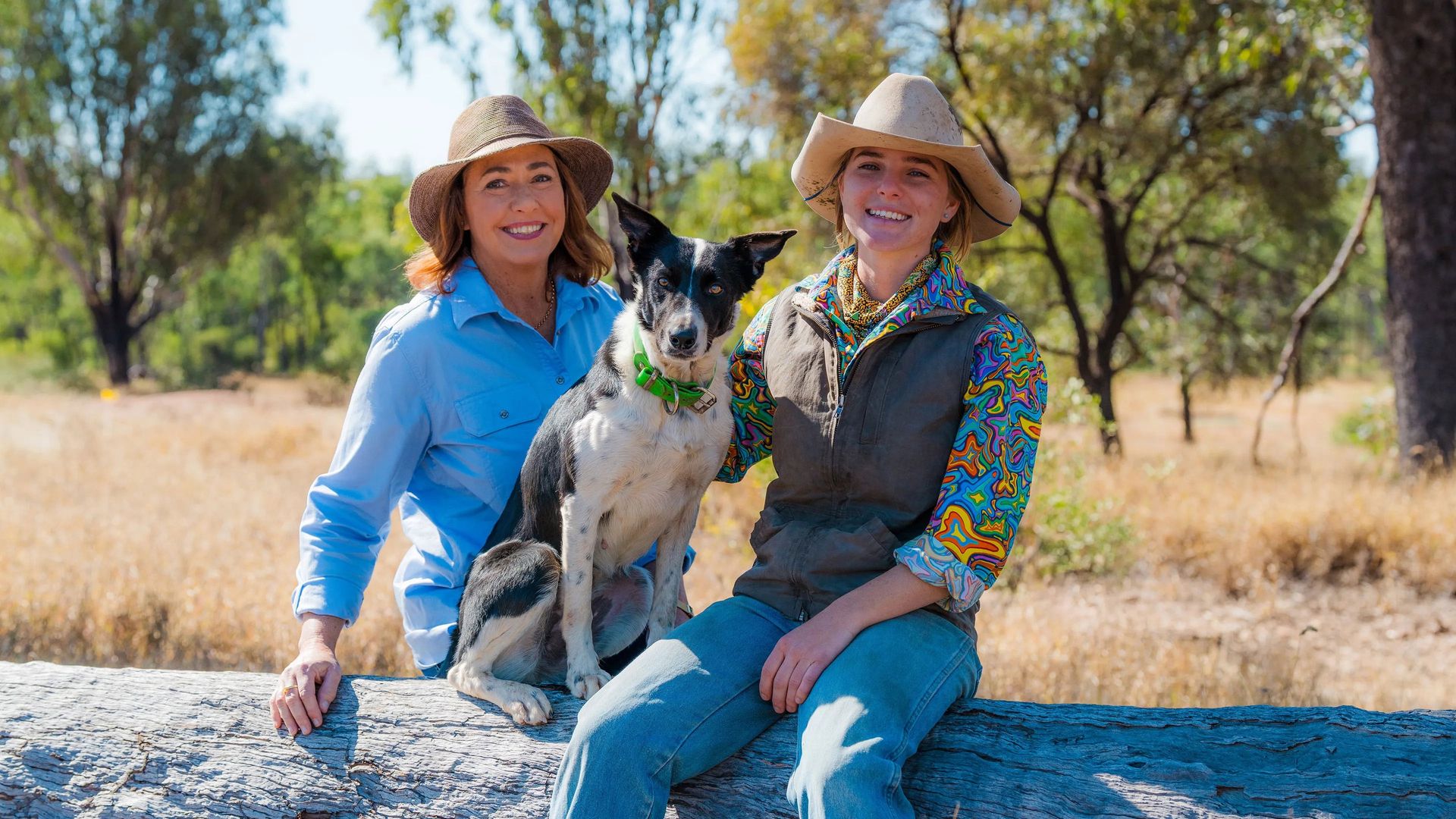 Muster Dogs: Where Are They Now - Season 2 Episode 1: Episode 1