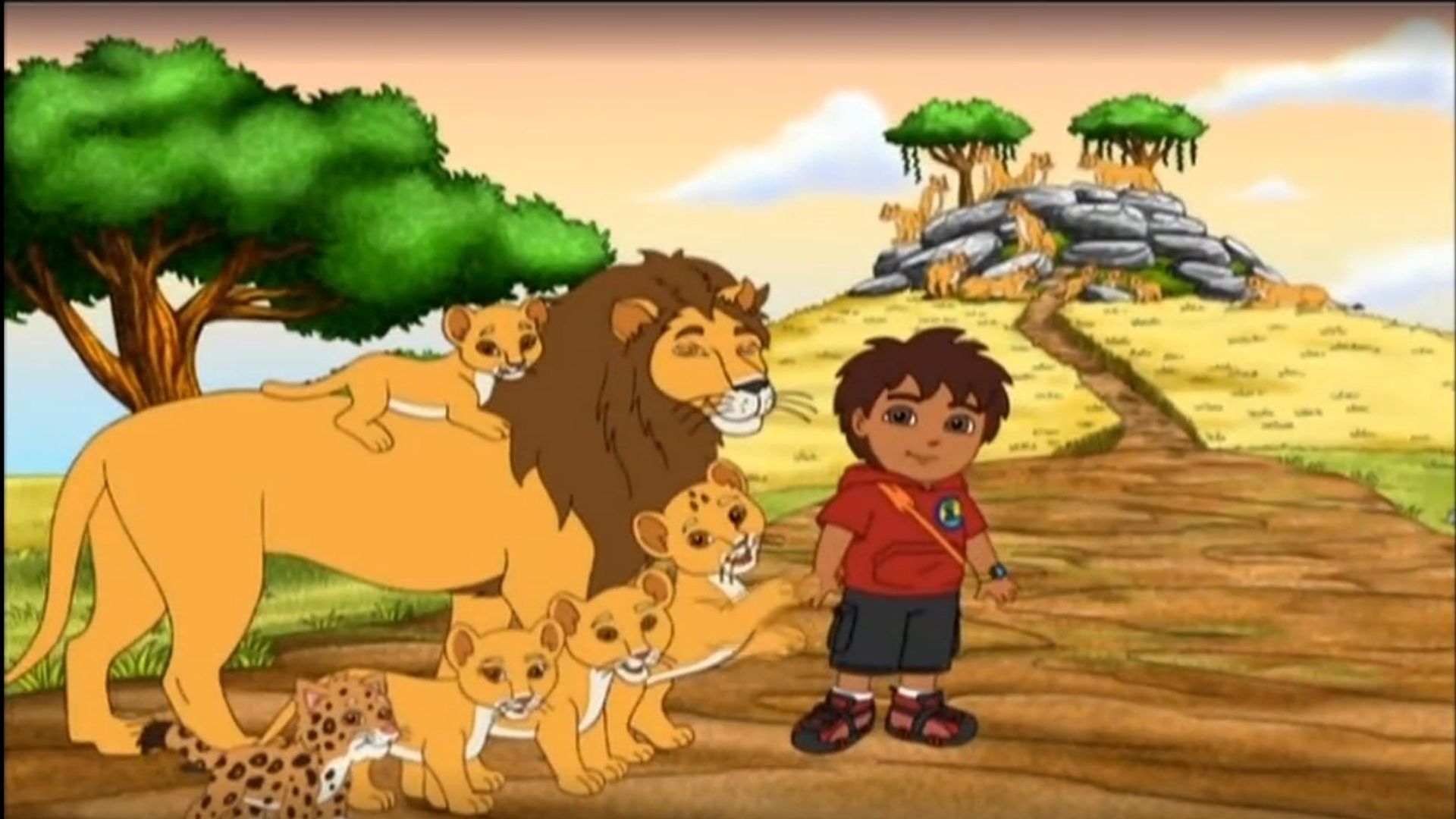 Go, Diego! Go! - Season 4 Episode 12: Welcome Home, Lion Cub