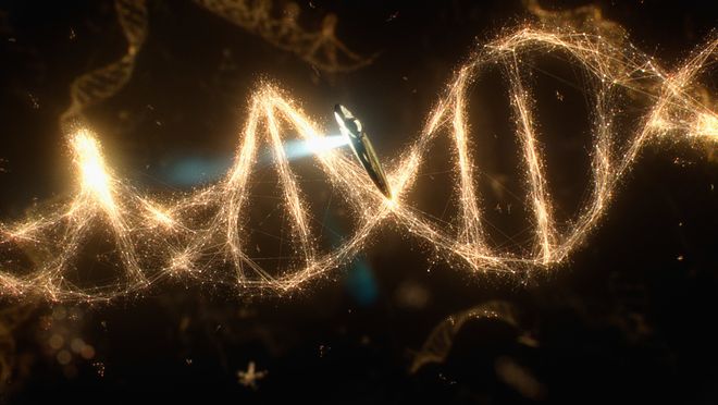Cosmos: A Spacetime Odyssey Season 1 | Where to Stream & Watch Online?