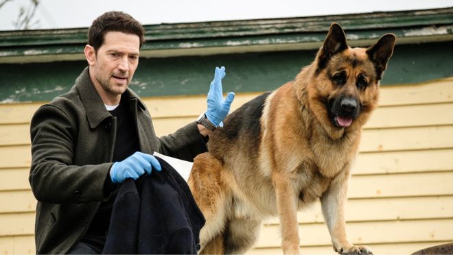Hudson & Rex S8 E14 | Watch Online in United States