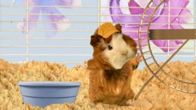 Wonder Pets! | Where to Watch Online in United States