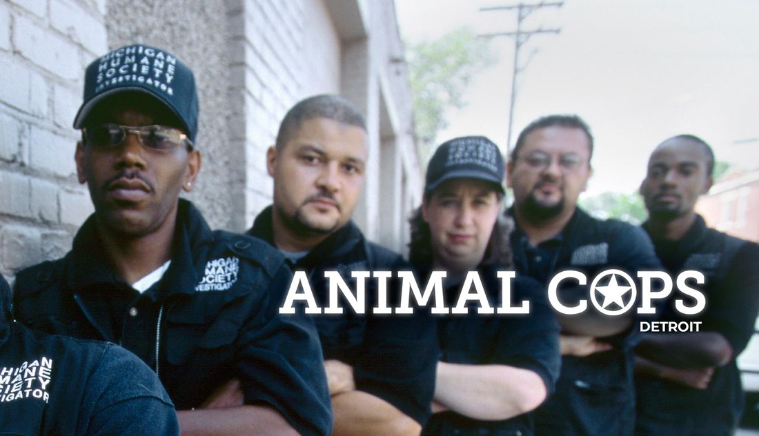 Animal Cops: Detroit | Where to Stream & Watch Online?