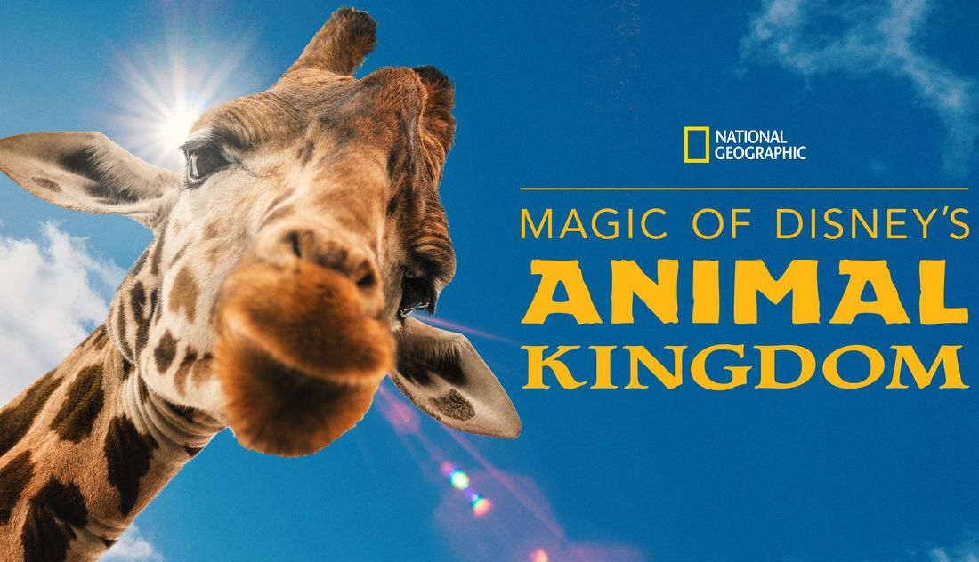 Magic of Disney's Animal Kingdom - Season 2 Episode 1: Giraffe Jam