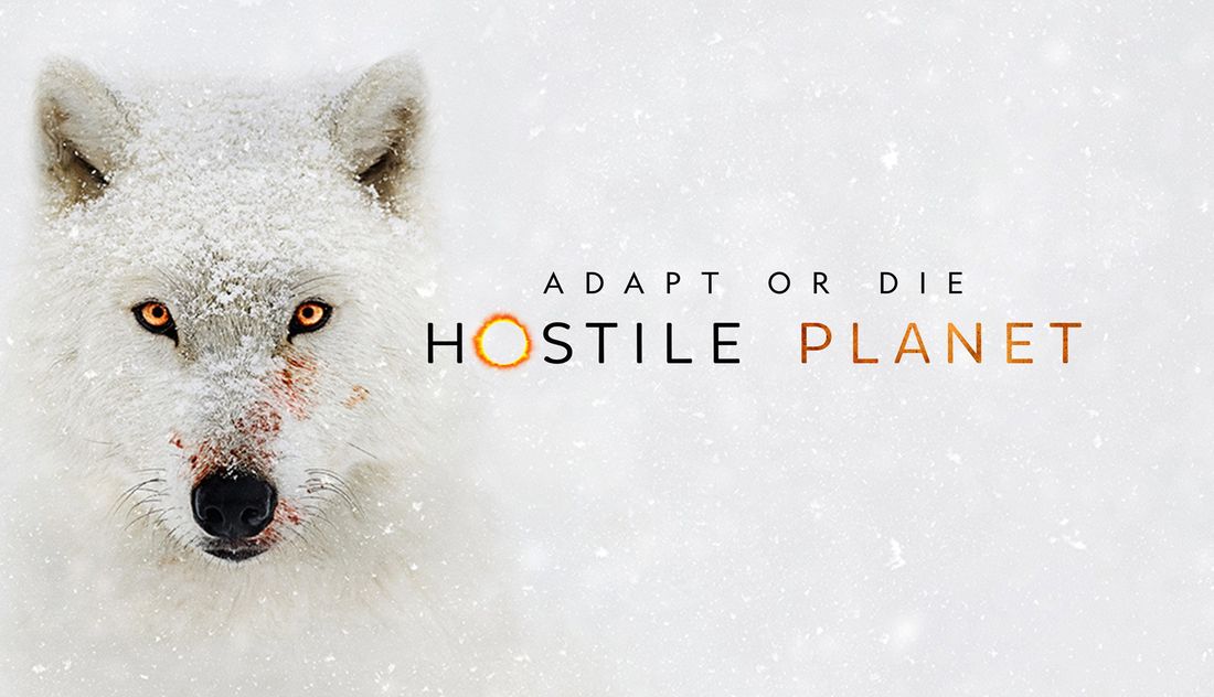 Hostile Planet | Where to Stream & Watch All Seasons Online