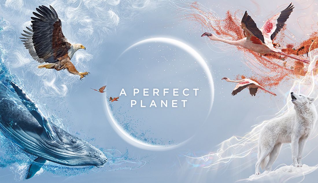 A Perfect Planet | Where to Stream & Watch All Seasons Online