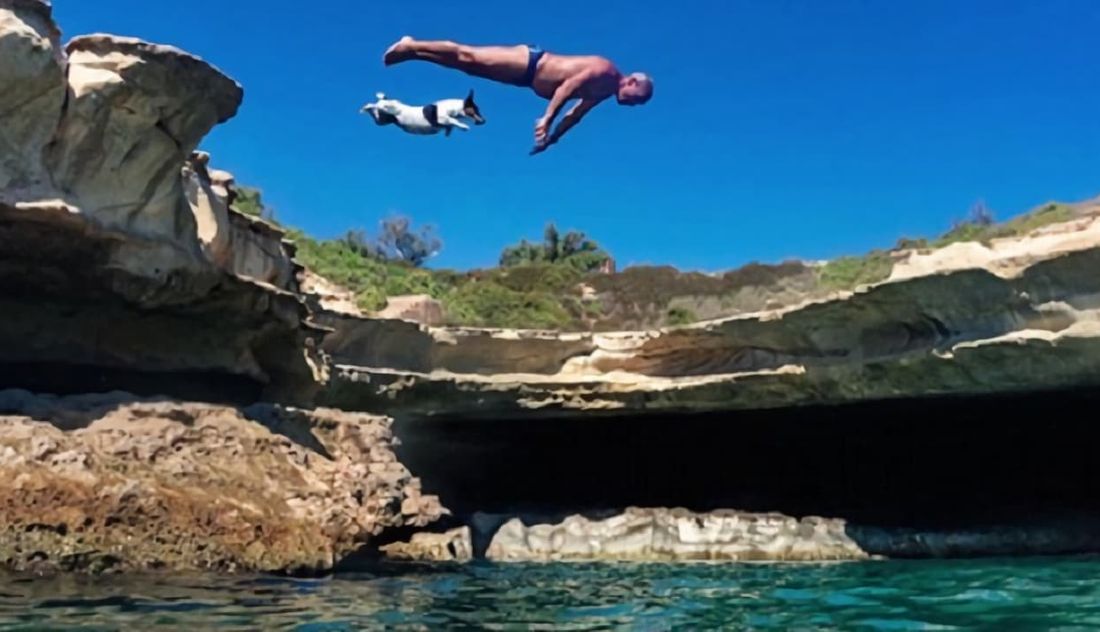 Secret Life of Dogs | Where to Stream & Watch Online?