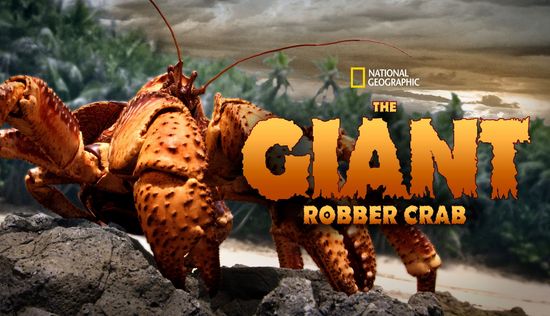 The Giant Robber Crab | Where to Stream & Watch Online?