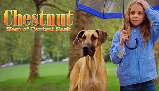 Chestnut: Hero of Central Park | Where to Stream & Watch Online?