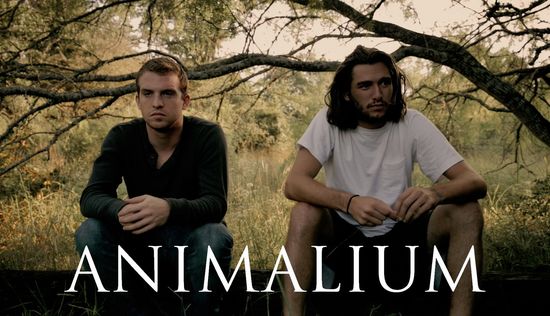 Animalium | Where to Stream & Watch Online?