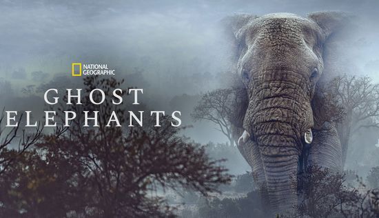 Ghost Elephants (2026) | Where to Stream & Watch Online?