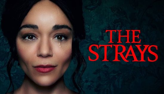 The Strays | Where to Stream & Watch Online?