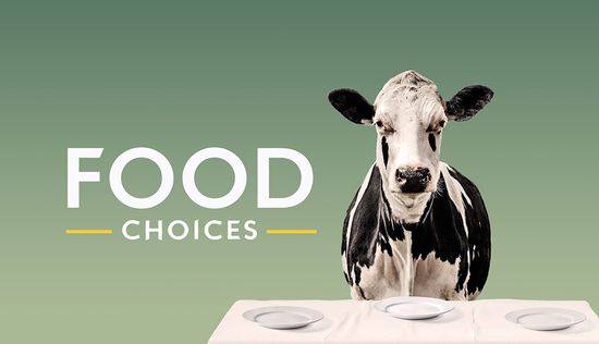 Food Choices | Where to Stream & Watch Online?