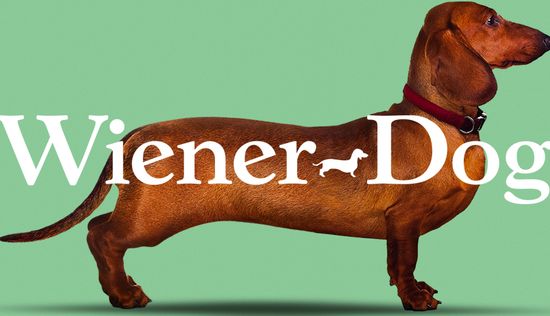Wiener-Dog (2016) | Where to Stream & Watch Online?
