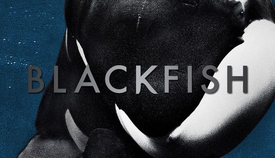 Blackfish | Where to Stream & Watch Online?