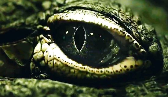 Saltwater: The Battle for Ramree Island | Where to Stream & Watch Online?