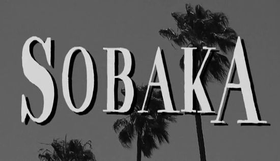 Sobaka | Where to Stream & Watch Online?