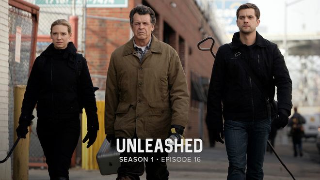 Fringe | Where to Stream & Watch Online?