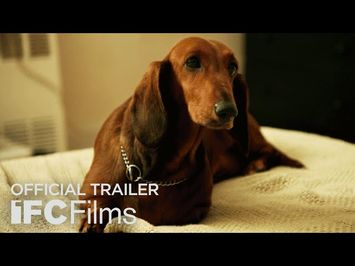 Wiener-Dog (2016) | Where to Stream & Watch Online?