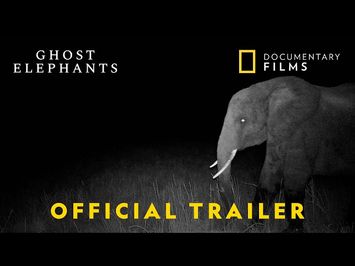 Ghost Elephants (2026) | Where to Stream & Watch Online?