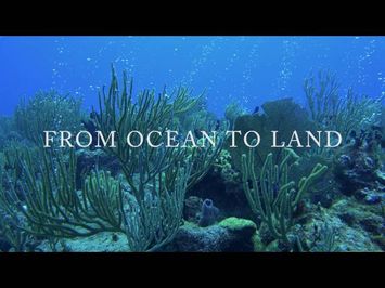 Evolution 4K | Where to Stream & Watch Online?